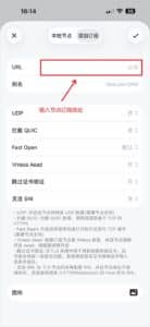 Loon 使用教程 、节点订阅、配置技巧 - Loon